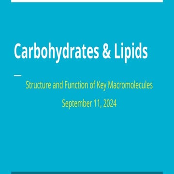 Carbohydrates & Lipids Macromolecules.pptx