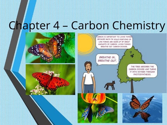 The Chemistry of Life | PPT