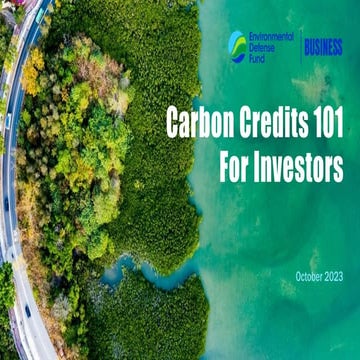 Carbon-Credits-101-for-Investors (ESG, Carbon Offsets) | PDF