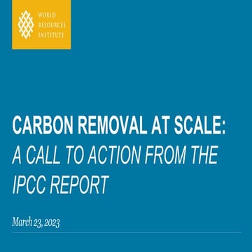Carbon Removal at Scale: A Call to Action from the IPCC Report | PDF