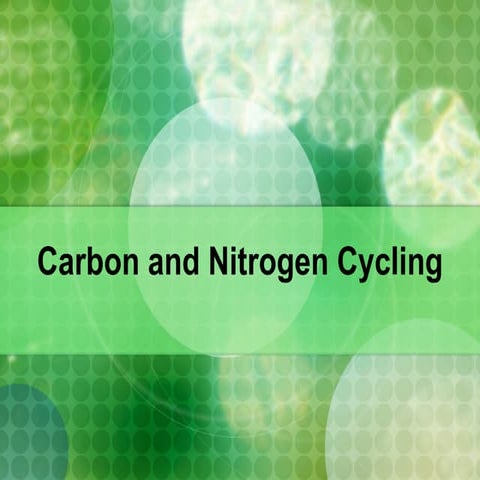 Carbon and nitrogen cycling | PPT | Chemistry | Science