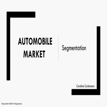 SMD101 Segmentation assignment | PDF
