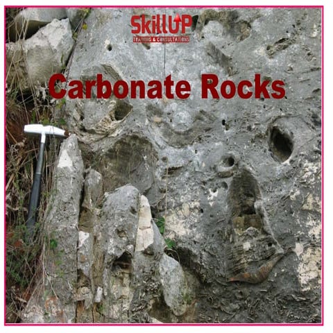 Carbonate rocks origin, nature, occurrences, classification and ...