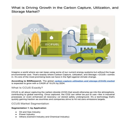 Carbon Capture Utilization and Storage Market.pdf
