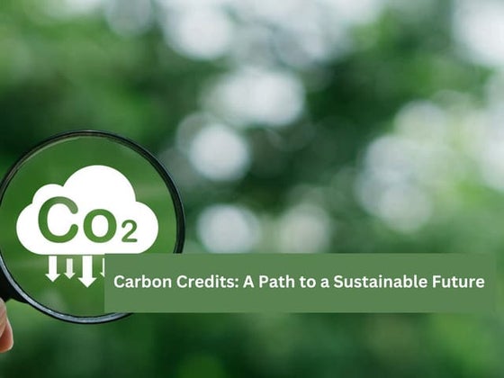 Logbook dan Neraca Limbah B3 Tahun 2019.pdf