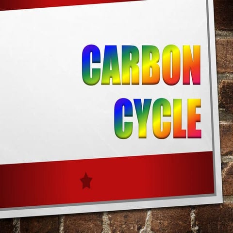 Carboncycle | PPT