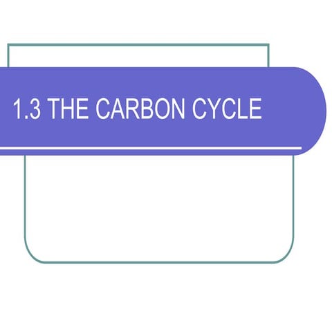 Carbon cycle | PPTX