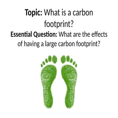 Carbon cycle and footprint - Basics of the carbon cycle and how to ...