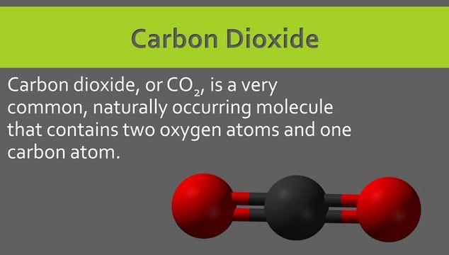 Carbon Dioxide Definition