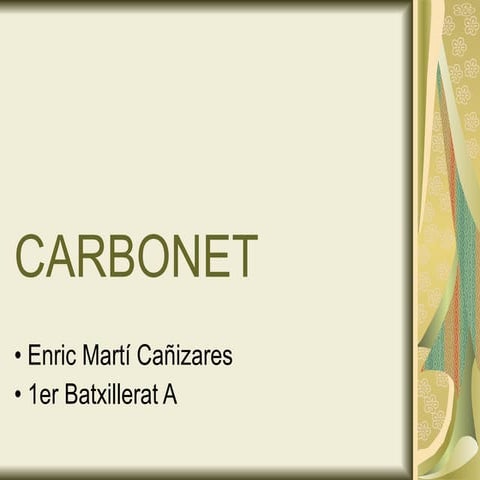 Carbonet | PPT