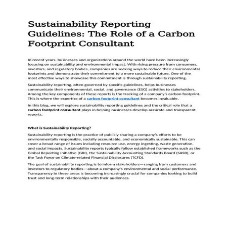 Sustainability Reporting Guidelines Role | DOCX