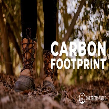 Carbon footprint module slides | PPT