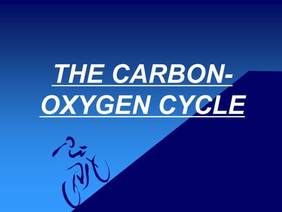 Carbon-oxygen cycle | DOCX