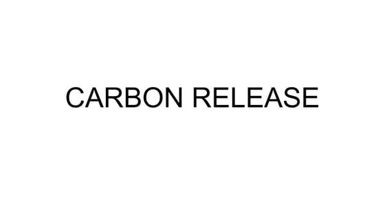 Be Carbon Neutralizer | PDF