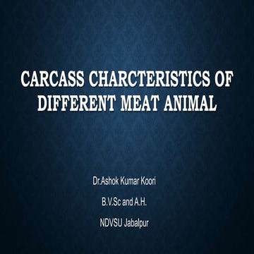 Carcass charcteristics of different meat anima | PPTX