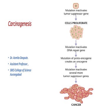 Carcinogenesis | PDF