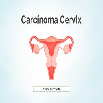 CERVIX CONTURING.pdf