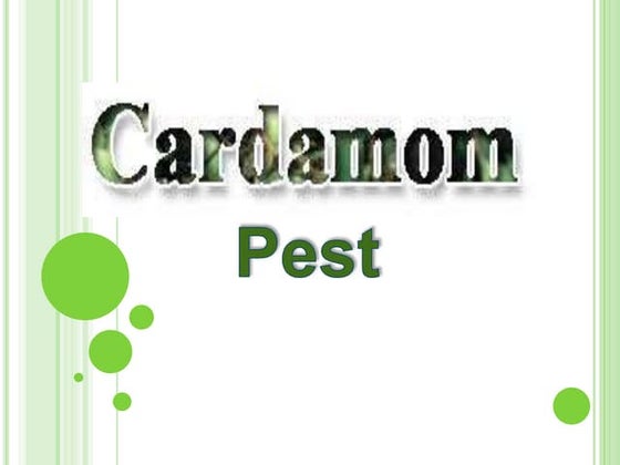 CACAO Insect, Pest, Diseases, and Management | PPT