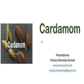 Cardamom | PDF