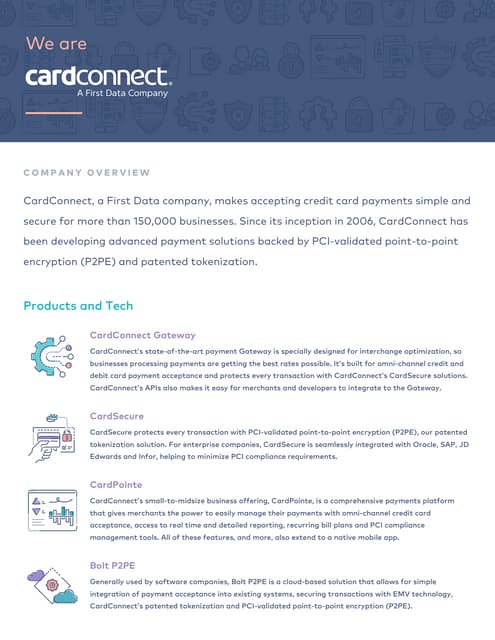 CardConnect B2B Sample Statement | PDF
