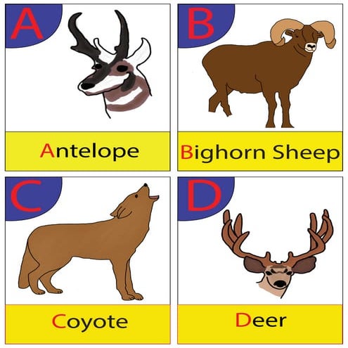 Colorado Animals Card Games A-D | PDF