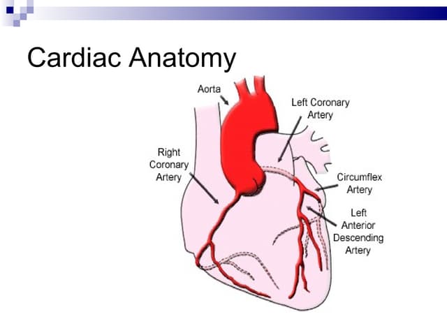 Cardiac case series ramus intermedius