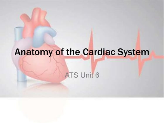 The Cardiovascular System.pptx