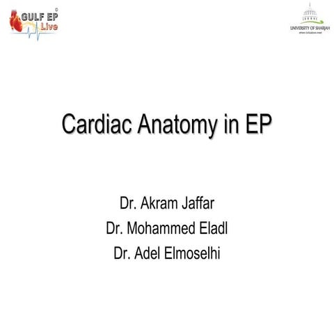 Cardiac anatomy in ep akram - eladl - adel | PPT