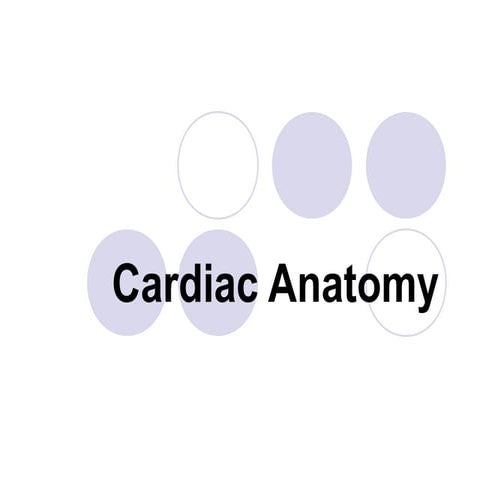 Cardiac anatomy powerpoint modified | PPT