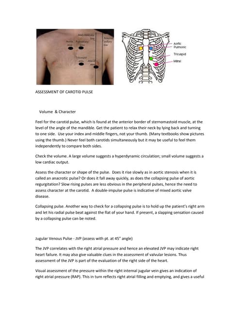 Precardium: Inspection | PPT | Heart and Cardiovascular Diseases ...