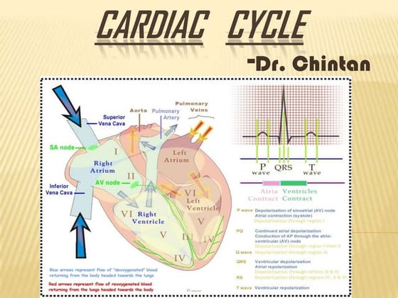 Cardiac cycle made easy | PPT
