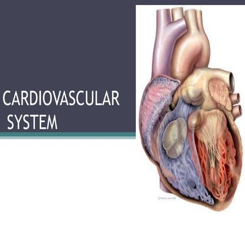 Cardiac cycle | PPTX