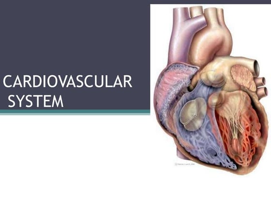 The Cardiac Cycle | PDF