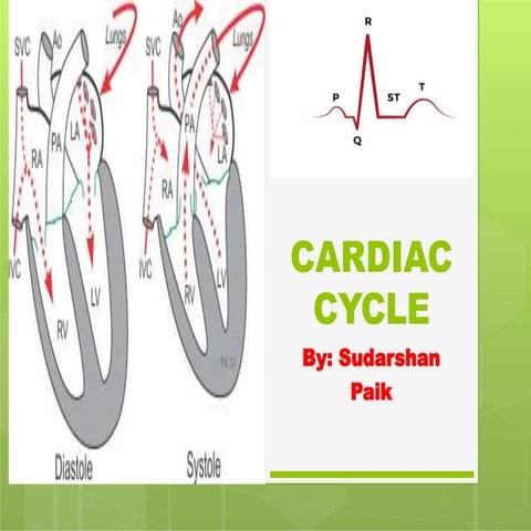 Cardiaccycle | PPTX