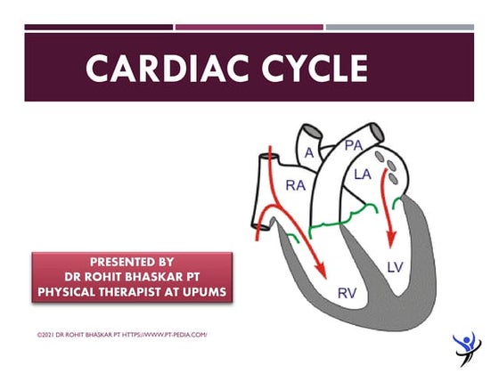 Cardiac cycle made easy | PPTX | Heart and Cardiovascular Diseases ...
