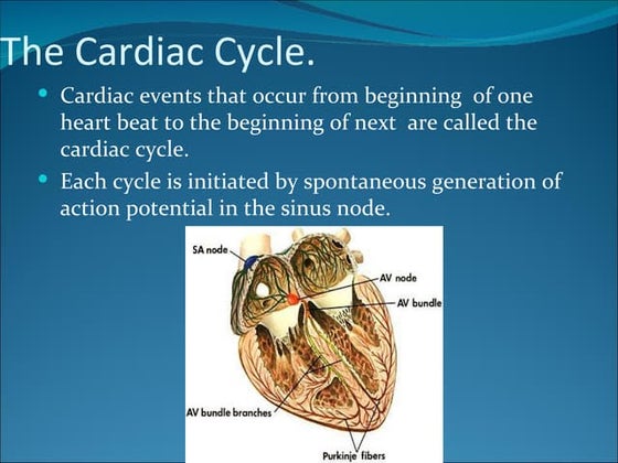 Cardiac cycle made easy | PPT