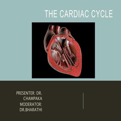 CARDIAC CYCLE-The cardiac cycle is the performance of the human heart ...