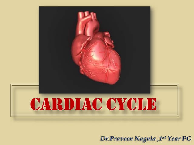 Circulatory System Ppt | PPT