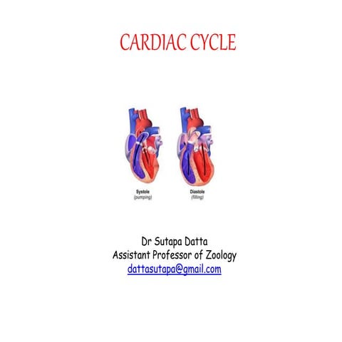 Cardiac Cycle | PPT