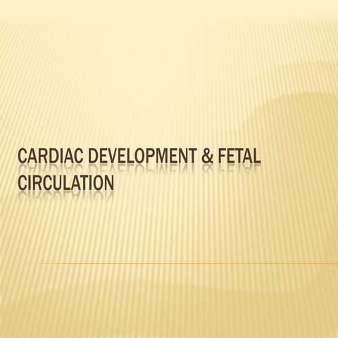 Cardiac development & fetal circulation (2) | PPTX | Heart and ...
