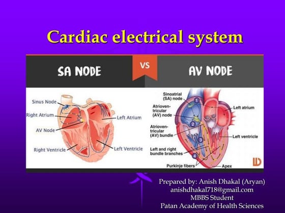 Conducting system of the heart | PPT