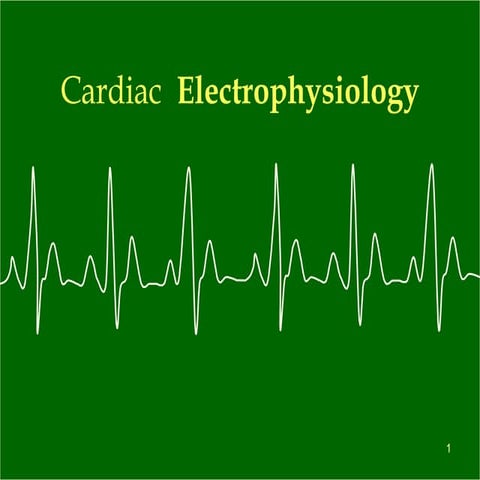 Cardiac+Electrophysiology | PPT