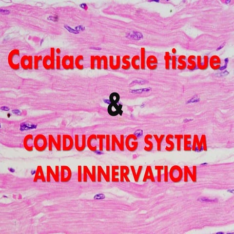 Cardiac muscle tissue | PPTX