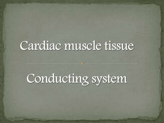 Cardiac conduction system | PPT