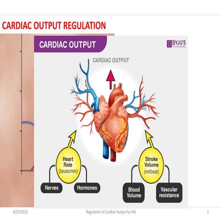 Cardiac output
