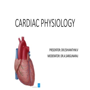 CARDIAC PHYSIOLOGY 1.pdf............................................ | PDF