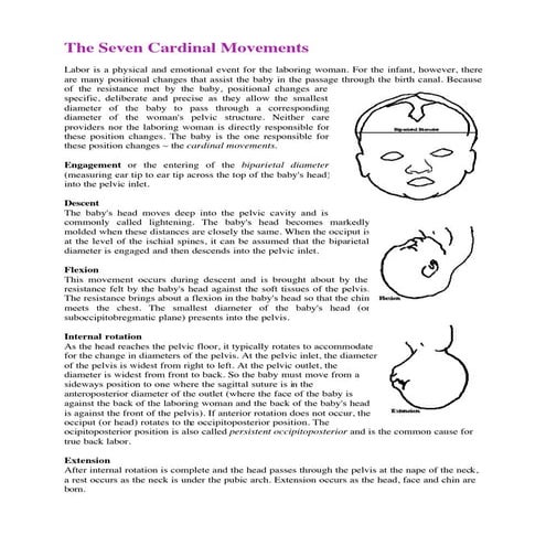 Cardinal movements 1 | PDF