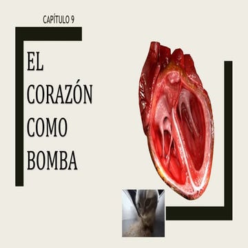 Musculo cardiaco: El corazón como bomba y función de las válvulas ...