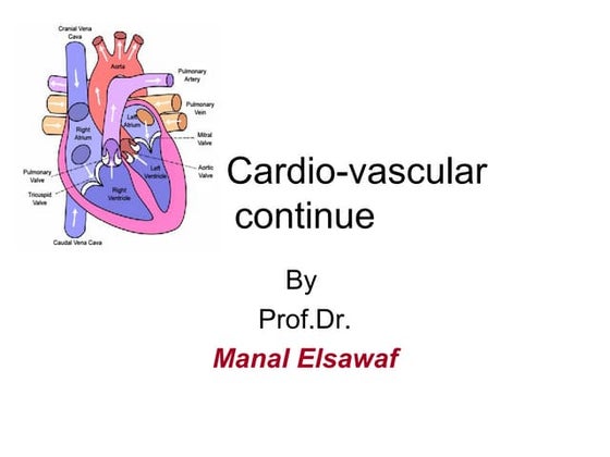 Anatomy of the Cardiovascular system | PPTX