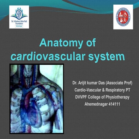anatomy of cardiovascular system | PPT